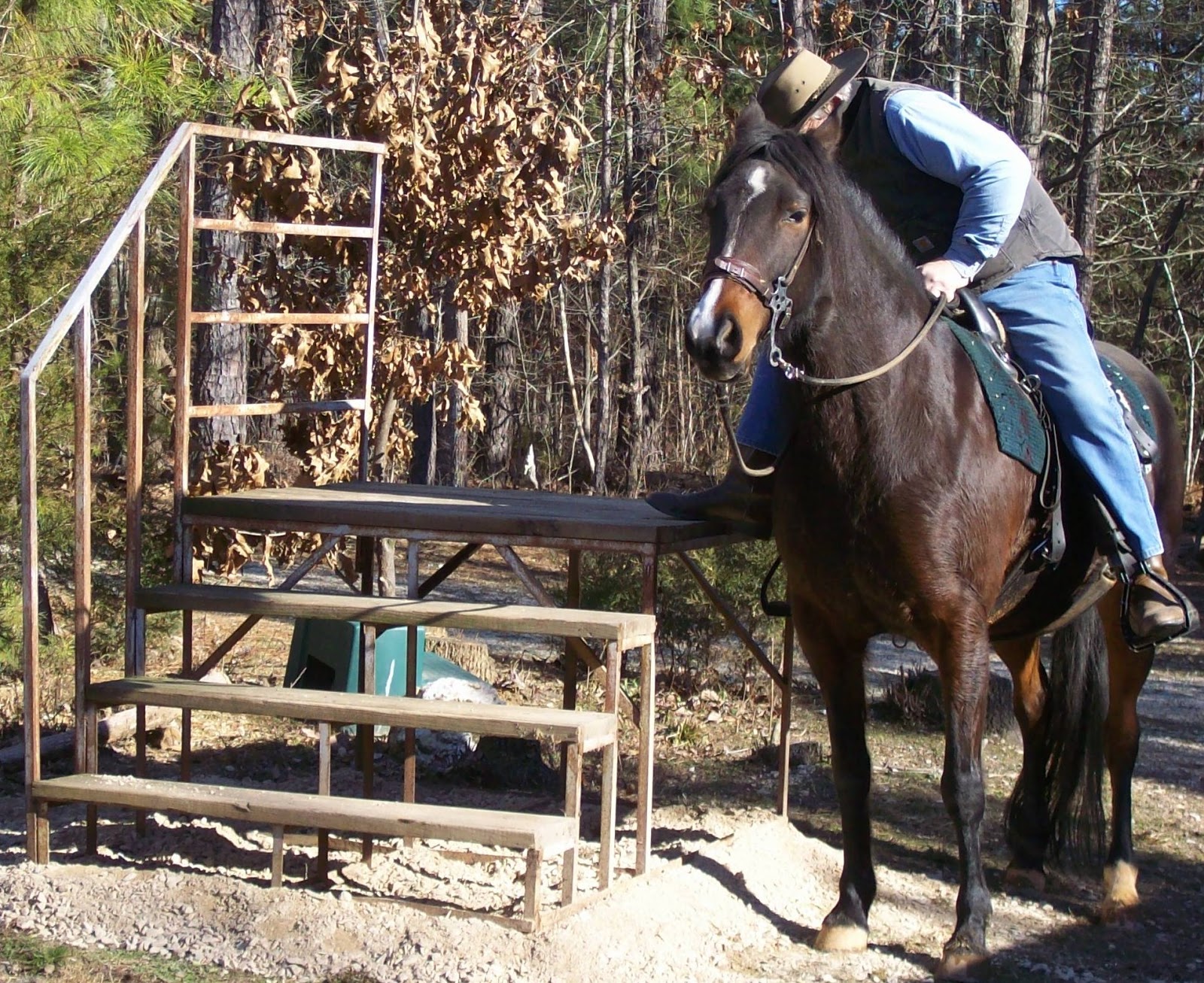 Coffee Clutch with Dutch Henry: "Kessy and Dutch's new Mounting Platform"