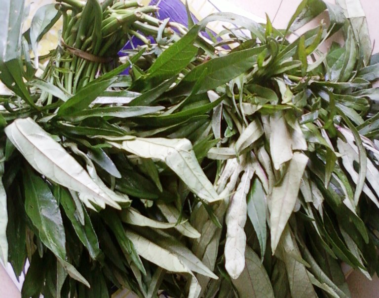 Rural and Urban: PISHI LA LEO - TEMBELE