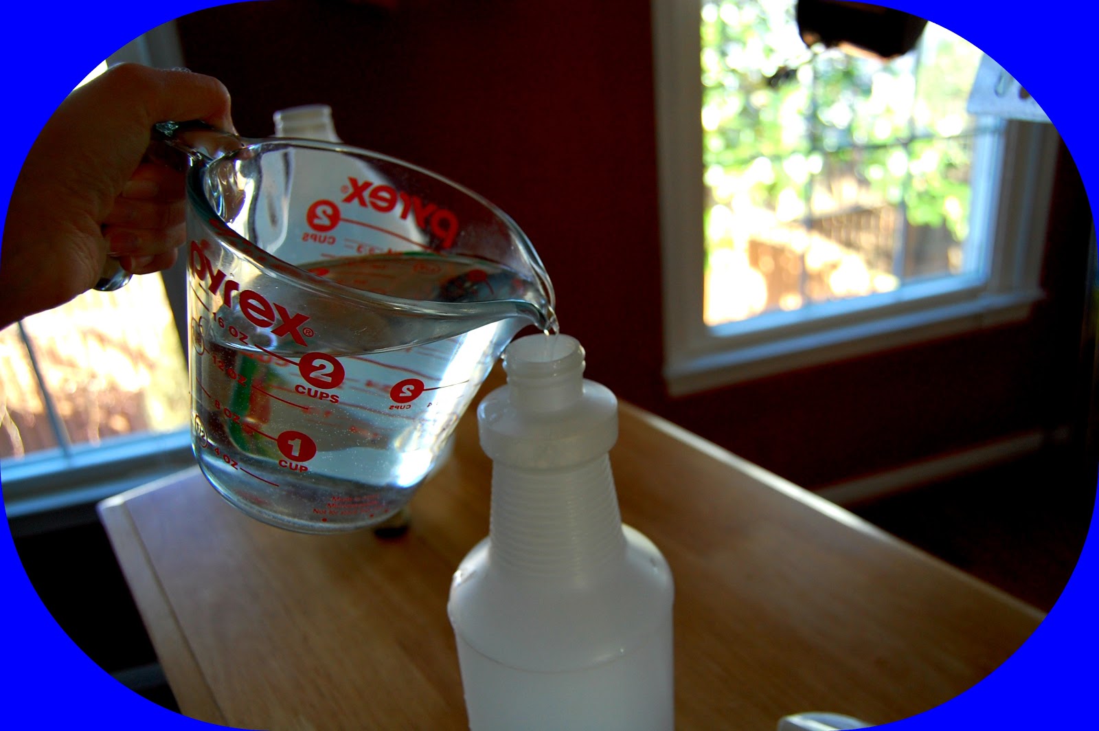 Simple DIY Home: Quick Antibacterial Cleaning Spray