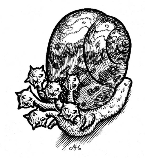 Akratic Wizardry: The True Origin of the Flail Snail?