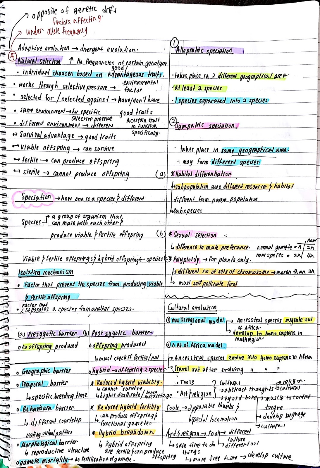 Biology Notes Semester 2 (MINE) for MUFY