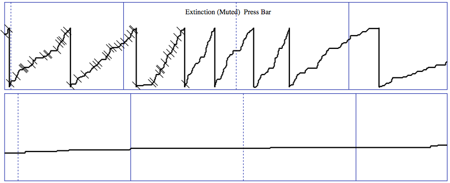 PY408 Learning Blog: Li'l Sebastian: Magazine Training, Shaping, and ...