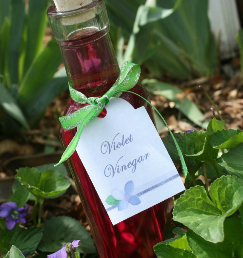 Nourishing Herbs: Virtuous Violets for Culinary and Medicinal Use