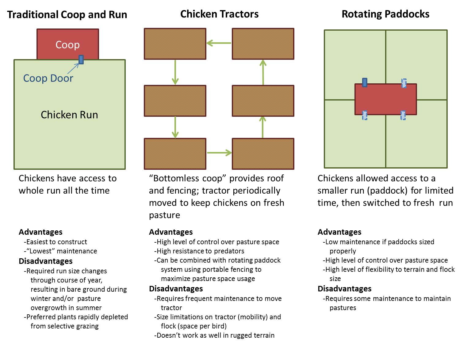 The Homestead Laboratory: Book Review: Permaculture Chicken - Pasture ...