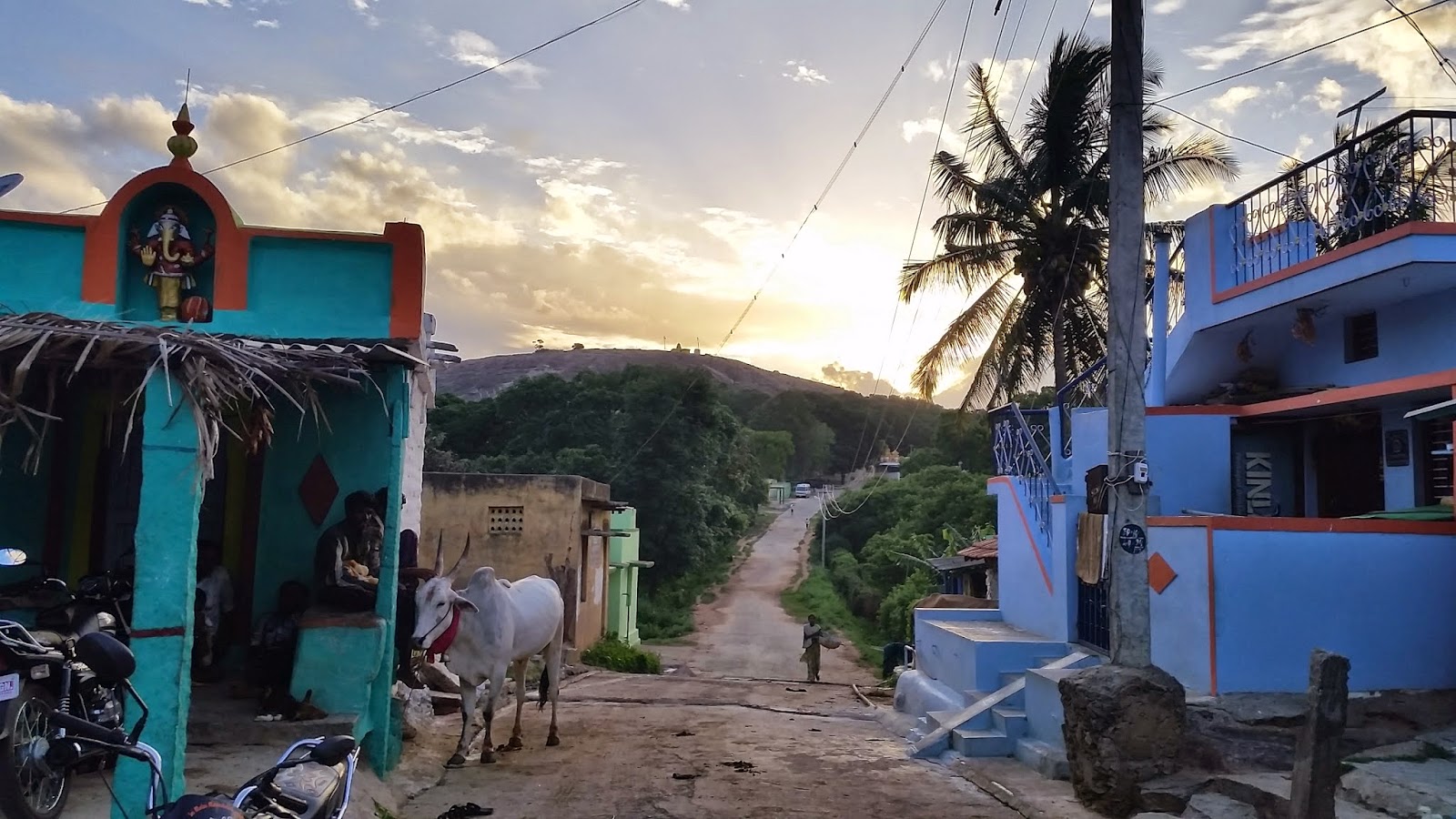 Jeevan's KALLI VALLI : Spotted Devil of Gummalapur, a walk back: Man ...