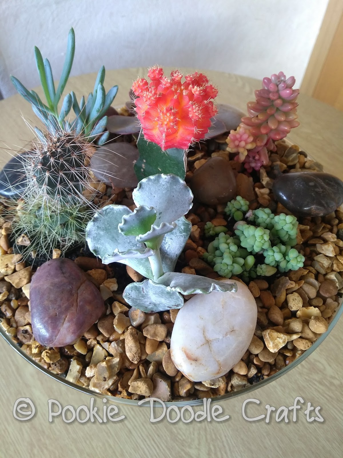 Pookie Doodle Crafts: Miniature Cactus Garden