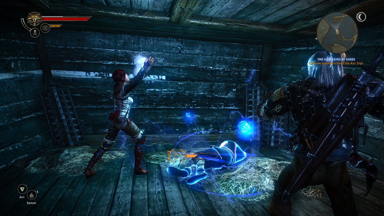 The Nocturnal Rambler: The Witcher 2 Screenshots & Wallpapers (Part 1)