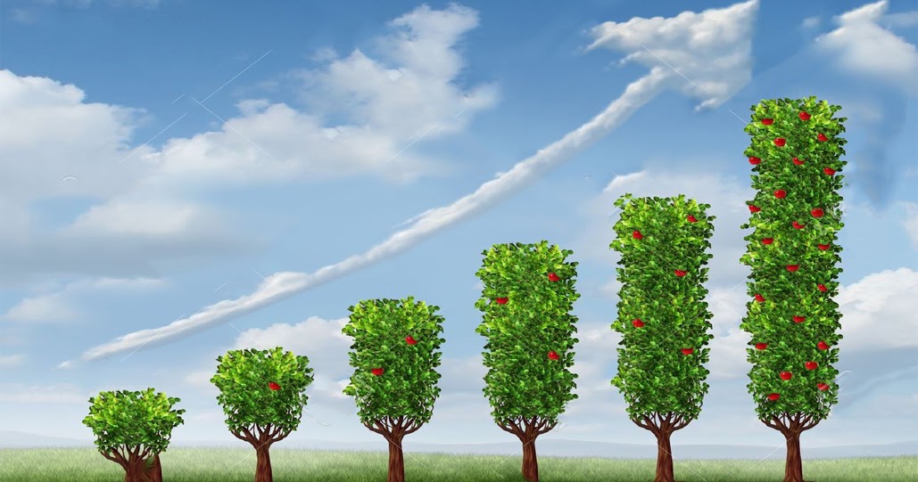 How do trees and leaves grow? - Simplified Things