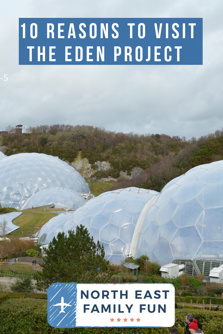 10 Reasons to Visit the Eden Project in Winter | North East Family Fun