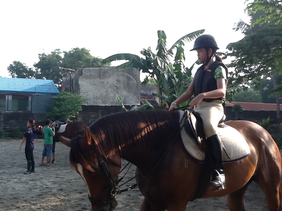 Horse Riding Sport Philippines at Marvin Thomas blog