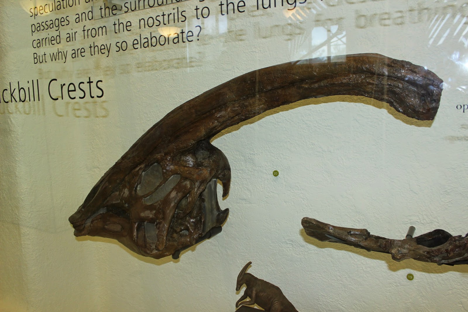 The Natural World: Alien Vs. Predator Vs. Parasaurolophus