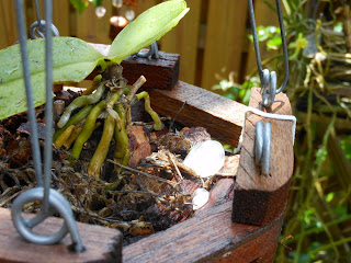 Aerides Designs - Handcrafted Gemstone Jewelry