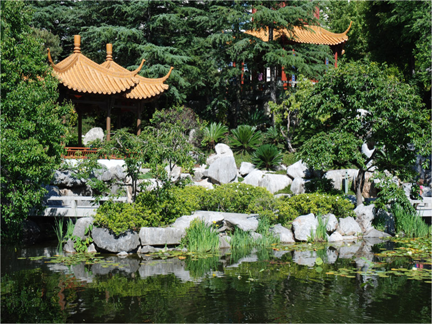 Chinese garden - General Agriculture