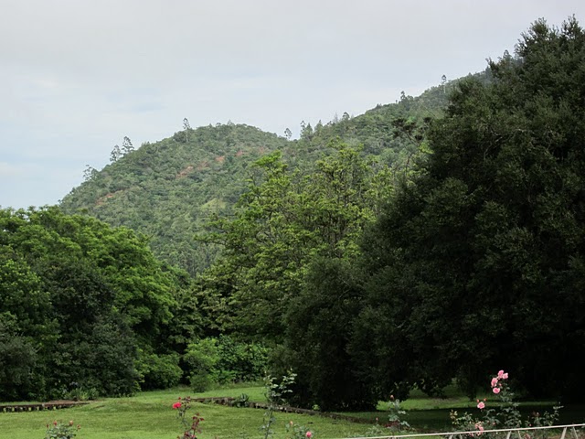 La Rochelle Mutare Zimbabwe | La Rochelle Mutare Zimbabwe