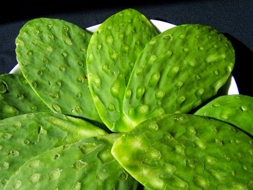Los Magnificos Beneficios Del Nopal ~ Salud Autentica