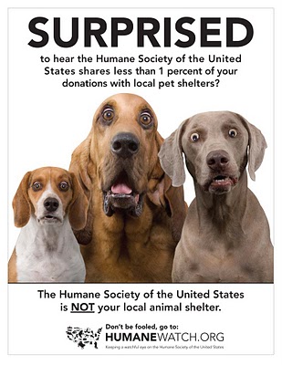 Disappointed With The Humane Society