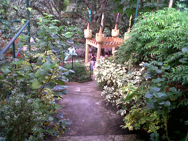 AN ESCAPE: LANIPAO RAINFOREST RESORT