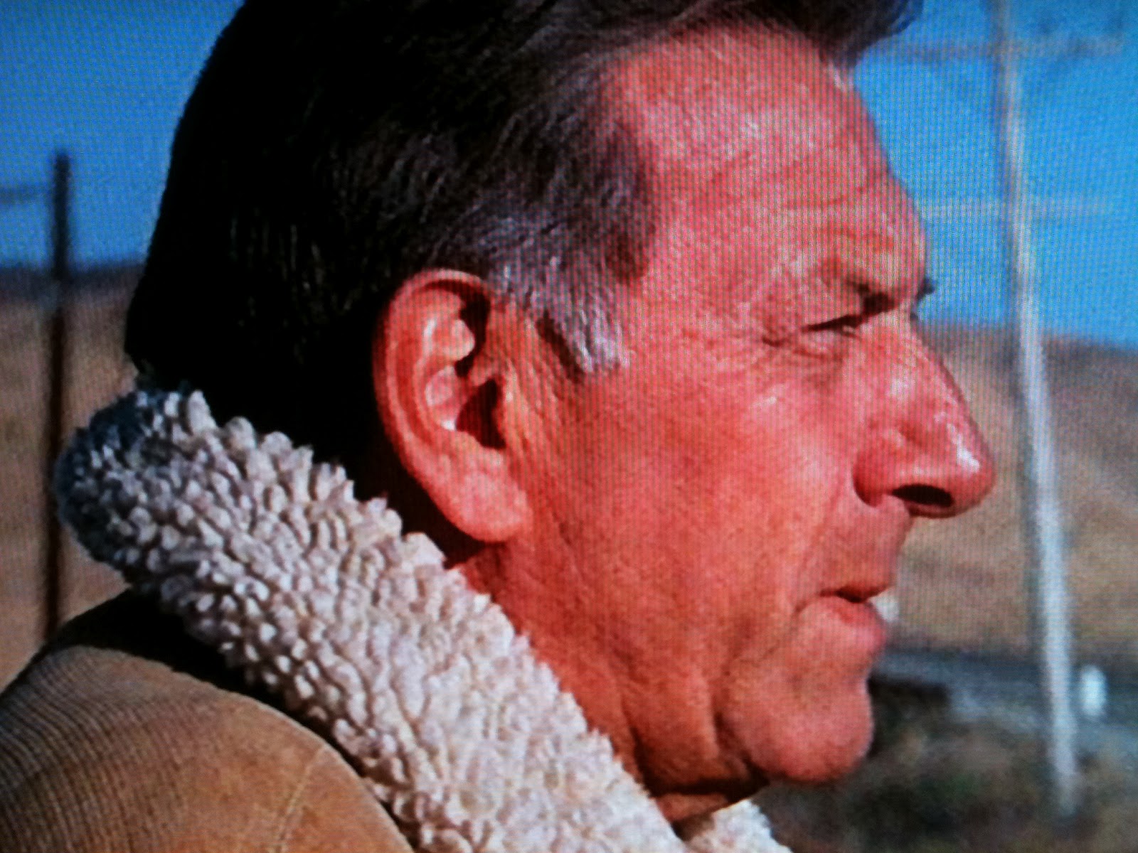 The Horn Section: Television Review: QUINCY, M.E.: "Dead Stop" (1981)