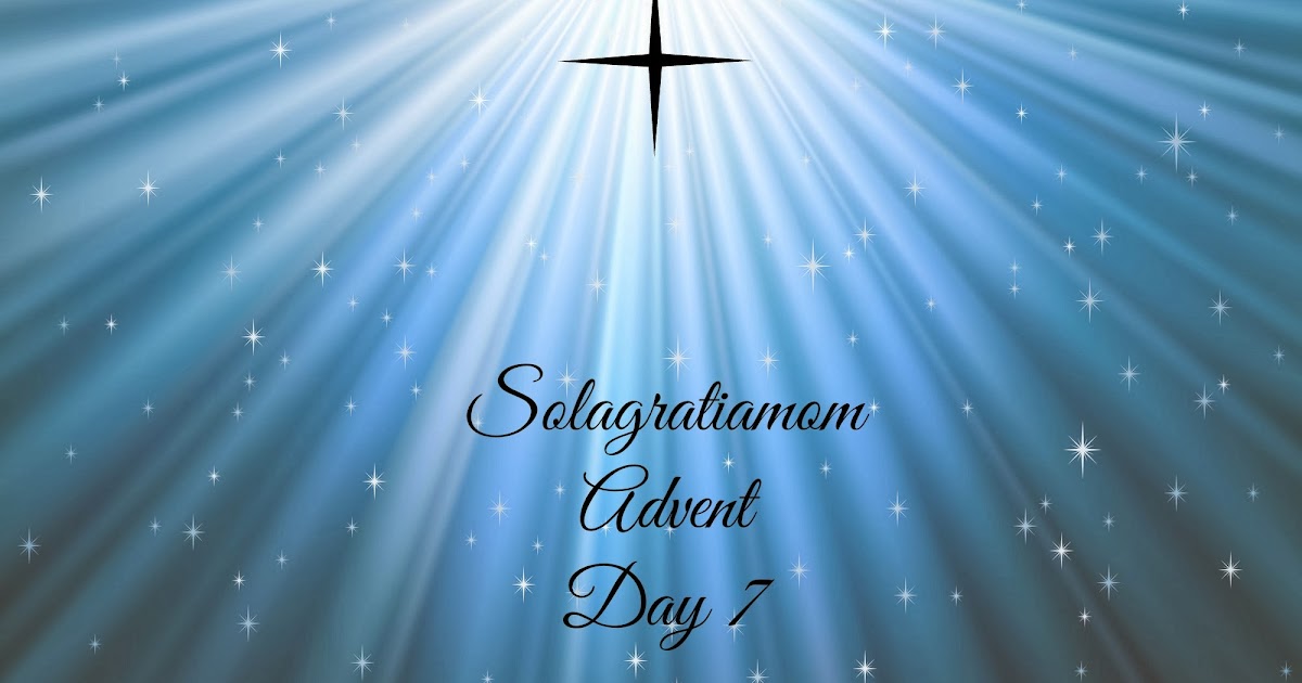 Solagratiamom: Advent Day 7 - Consider the Tree