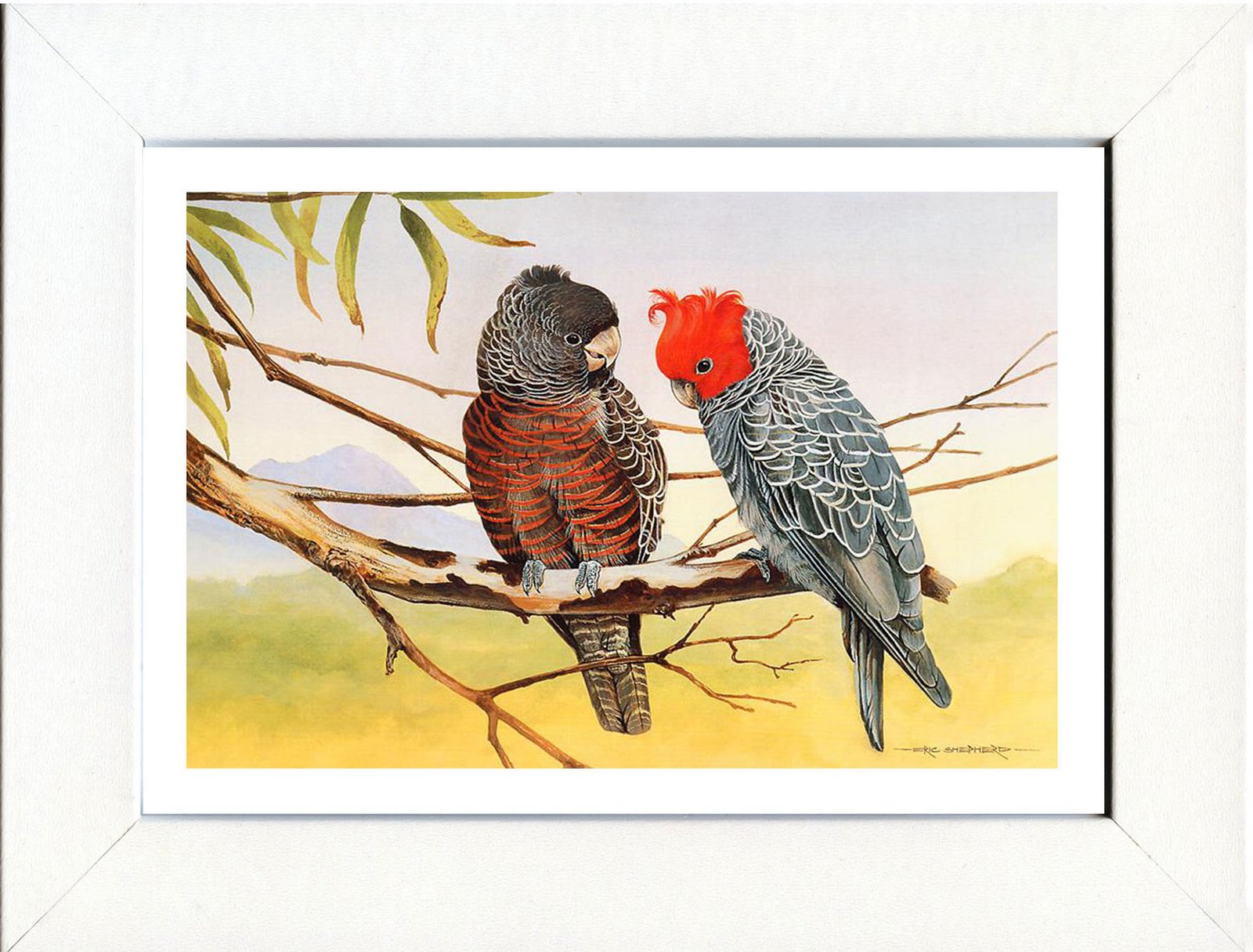 jjjewel.resimlerim: PAPAĞAN TEMALI RESİMLER