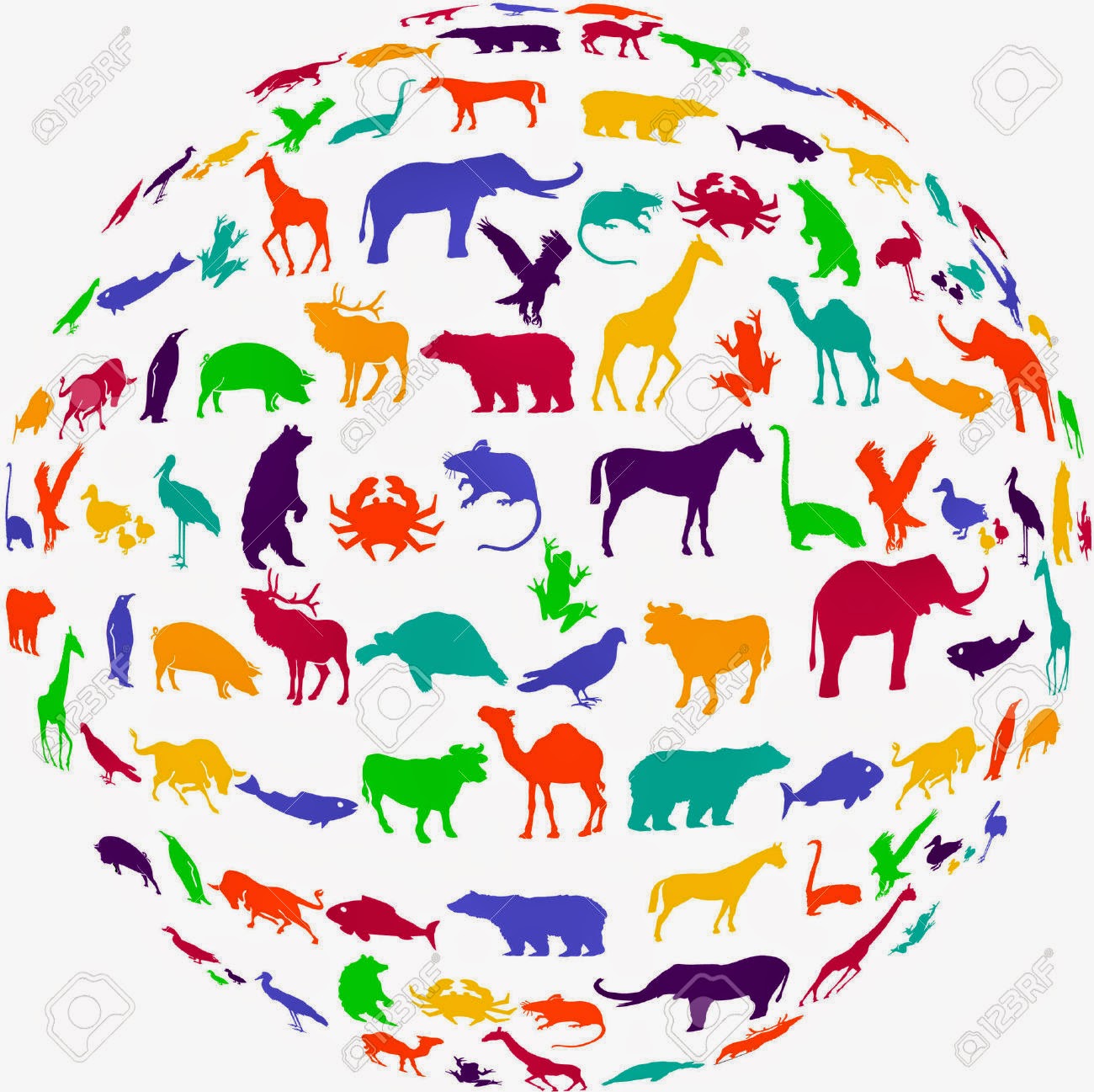 EL MUNDO ANIMALIA: REINO ANIMAL