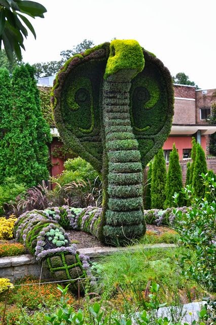 Topiaries ~ Stunning nature