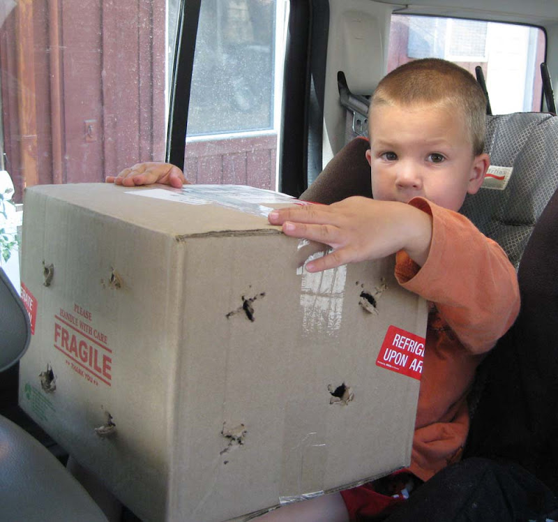 The General Farmer: Chicken Foster Care