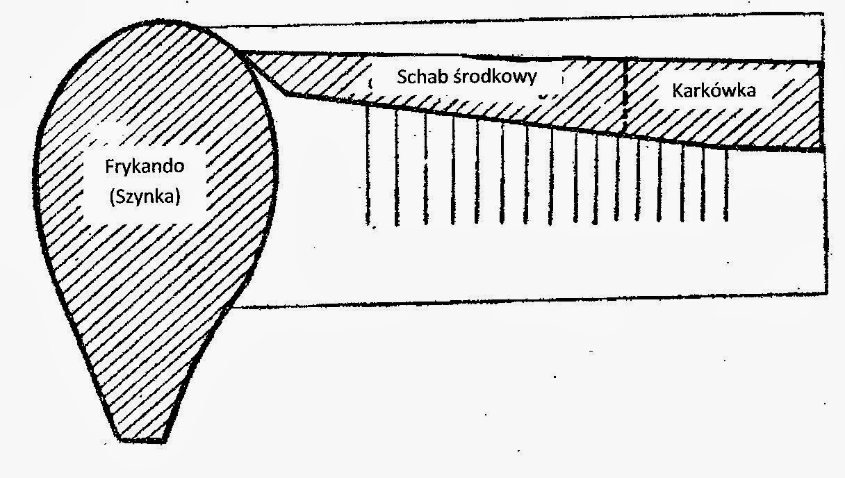 Kuchenne rozterki początkującej Blogerki: CO NA CO?