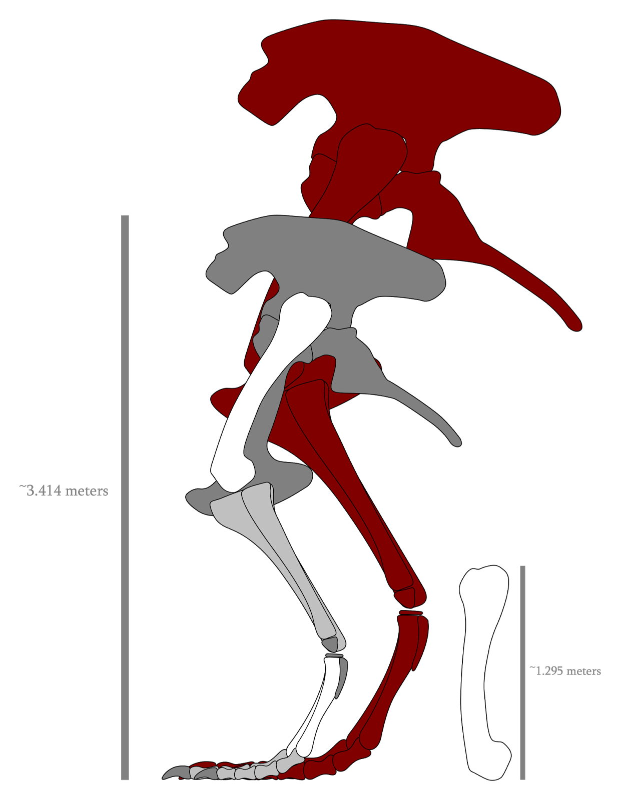Sauropodomorph Lair: Samson's height pt2