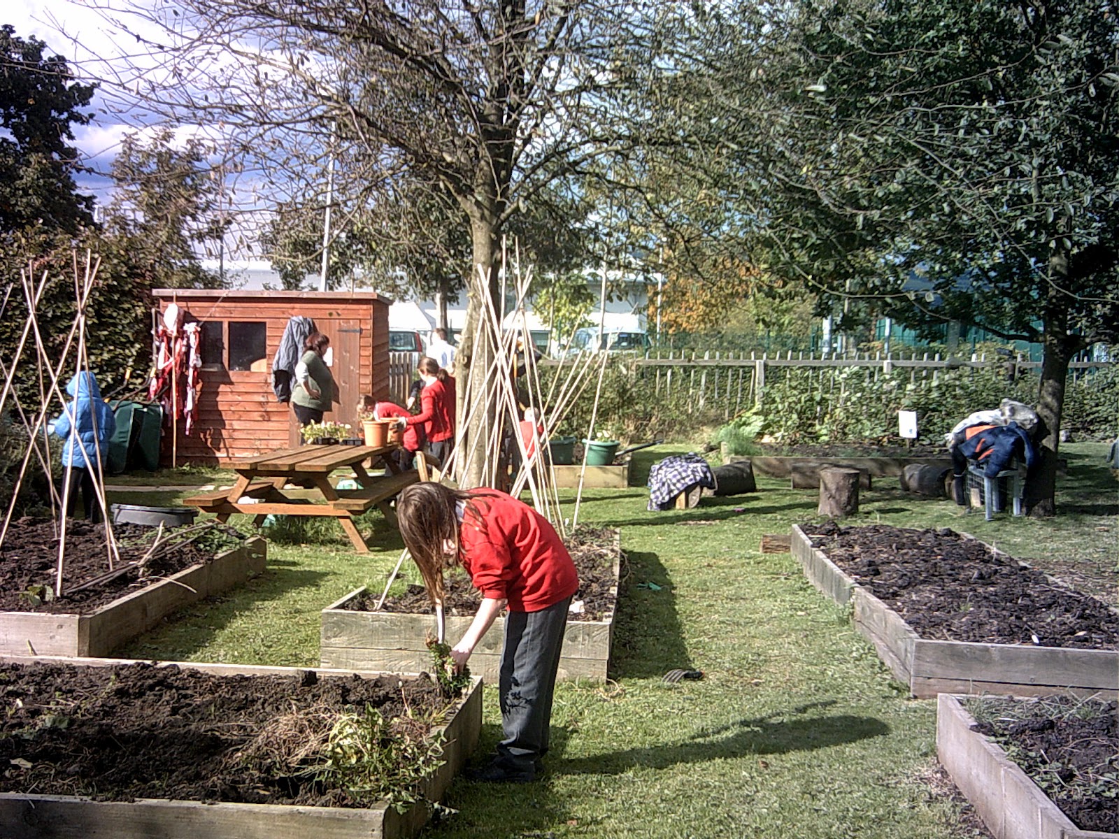 Welcome to Cookridge Primary School's Garden: Class 7 come to the garden