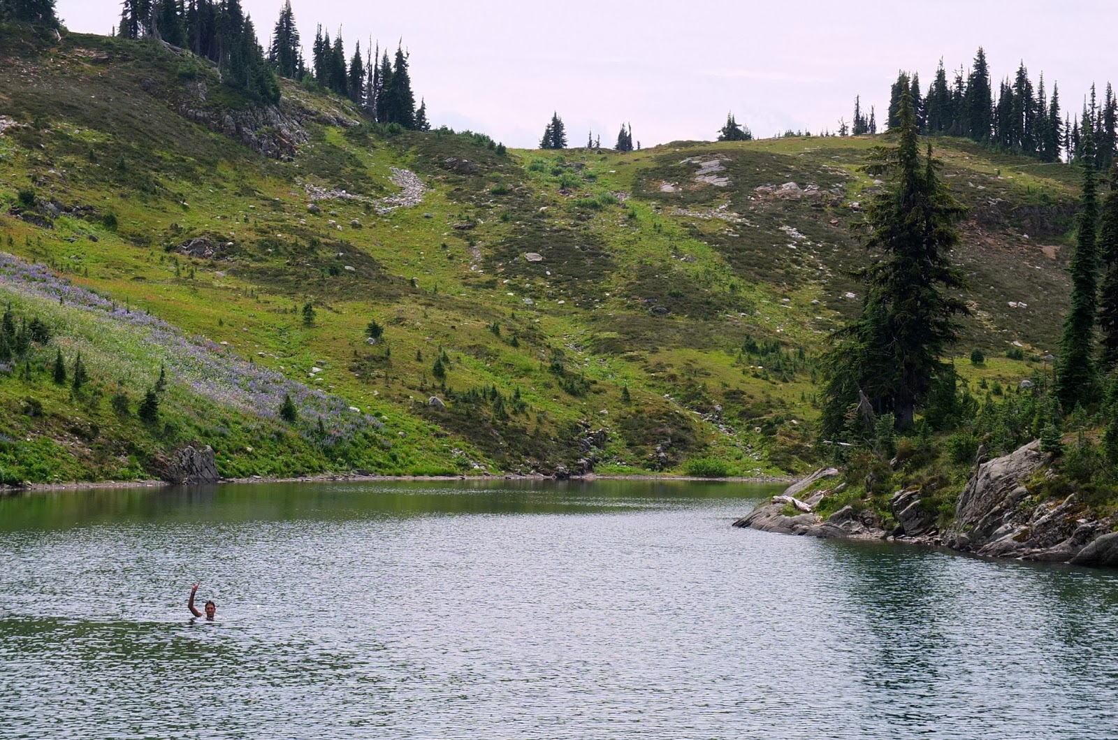 Watershed Athlete: Meet Your Maker 50mi Race Preview: The 2013 plan.