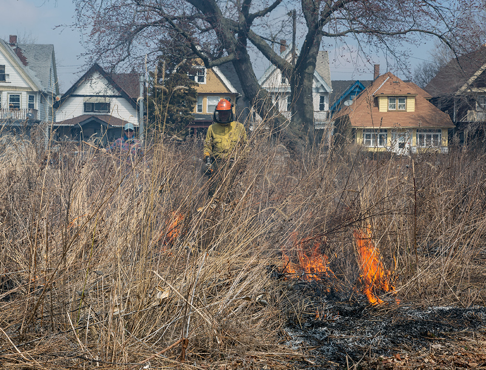 Urban Wilderness: Burning Washington Park