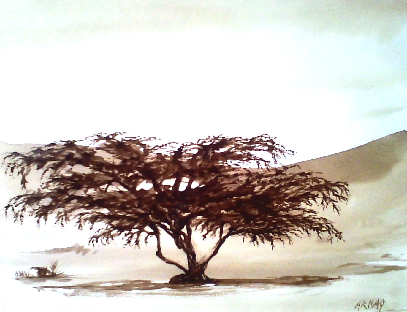 ARS LONG VITA BREVIS: EL HUARANGO EN SU TINTA