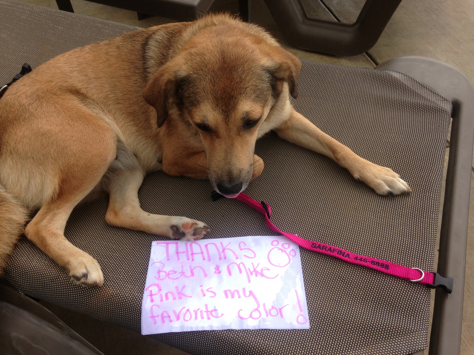 Pagua Bay ~ Dominica, West Indies: May 2013
