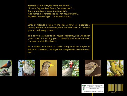 Discovery on Safari: Birds of Uganda – Book Review