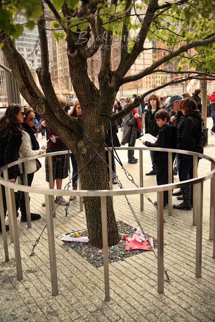 Adventures & Misadventures of Daily Living: New York – Ground Zero