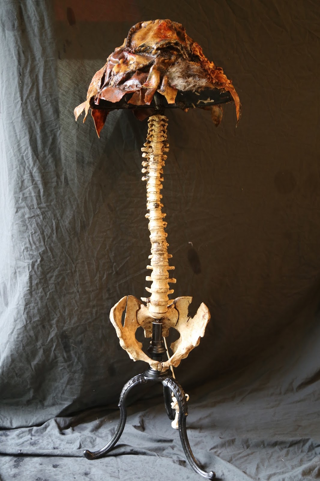 Mistic rose: Los escalofriantes objetos de Ed Gein (imagenes impactantes)