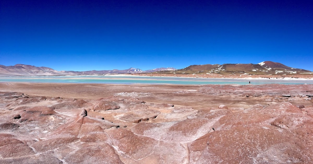 A week in the driest desert in the world