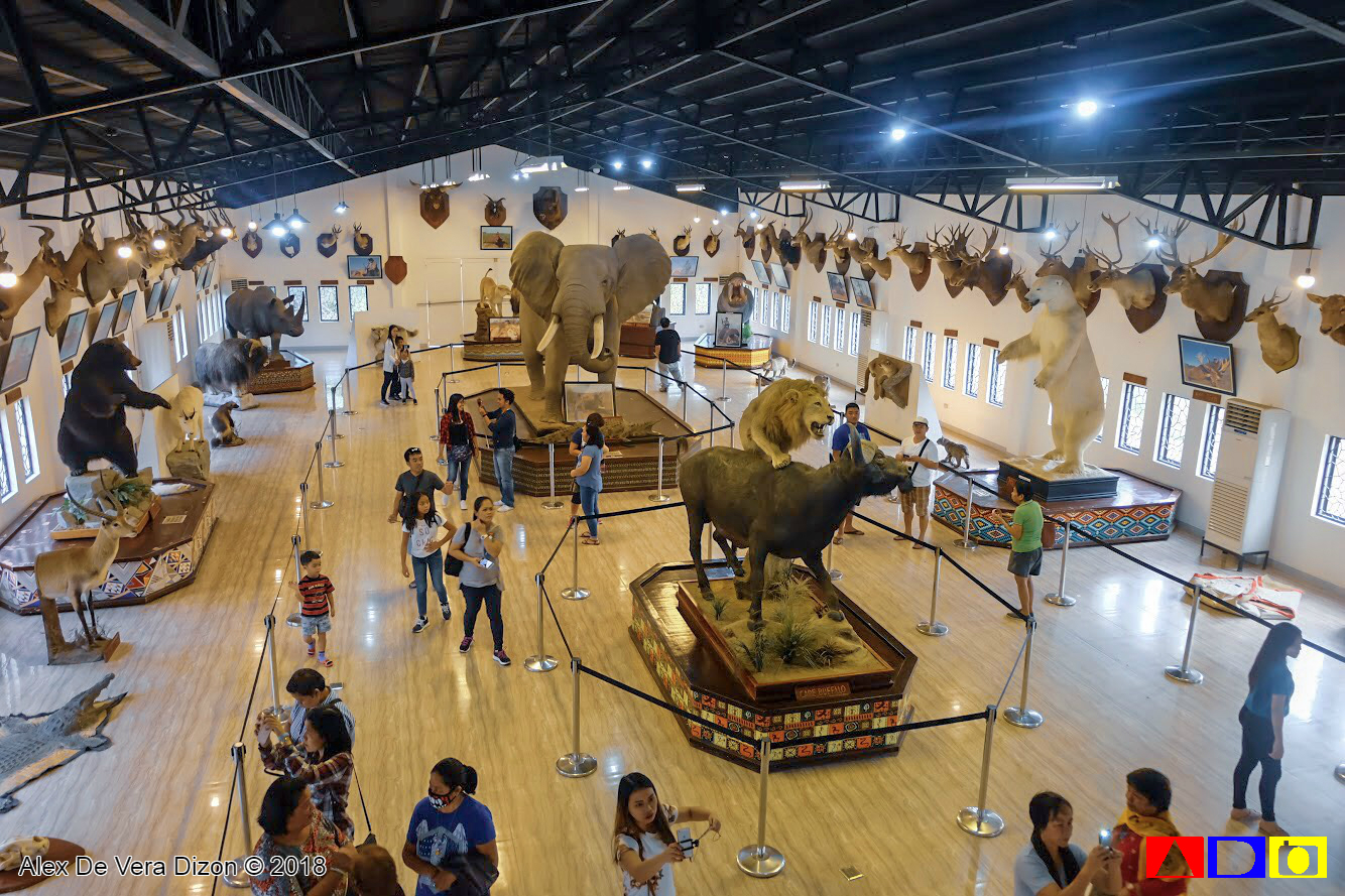 Family Portraits and Beautiful Memories in Ilocos Region - Recycle Bin ...