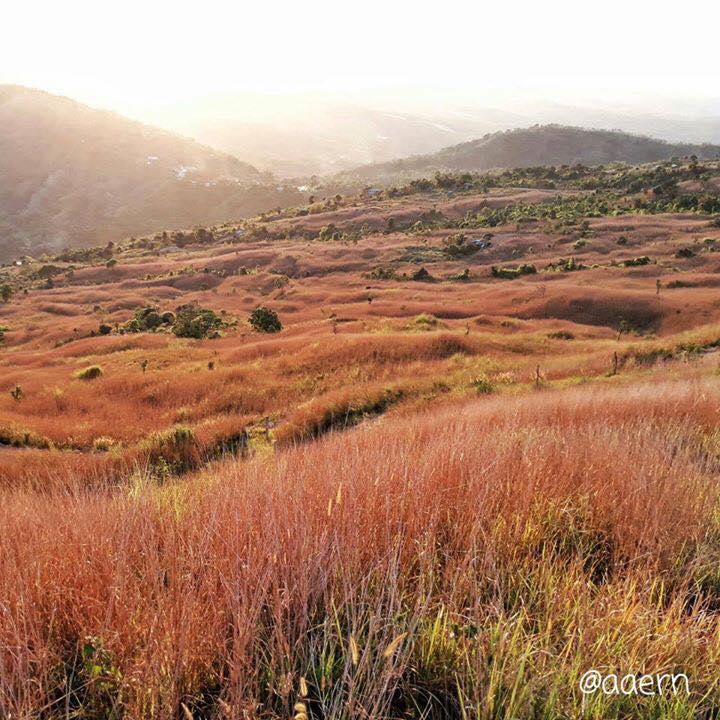 Mt. Balagbag - BULACAN-RIZAL - Must Visit PH