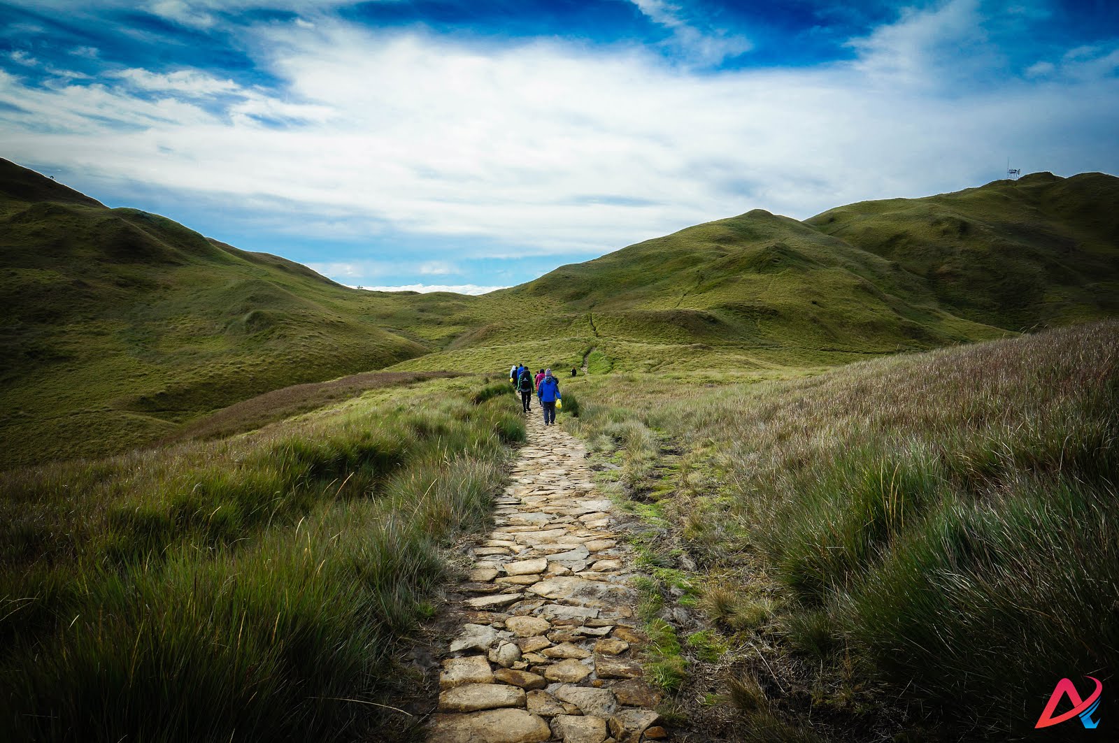 Mount Pulag "feels like heaven"