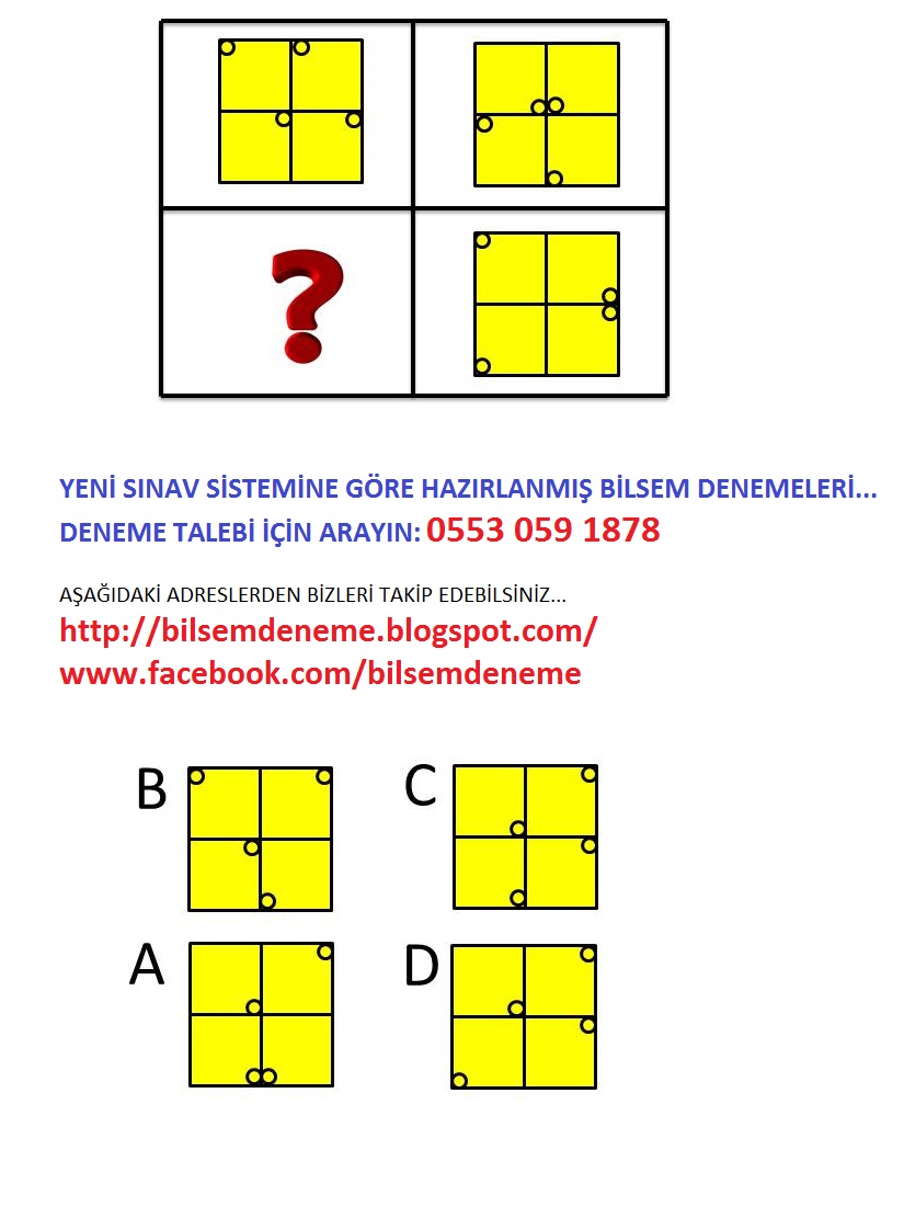 BİLSEM DENEME SINAVLARI: Bilsem Soru Örnekleri -6