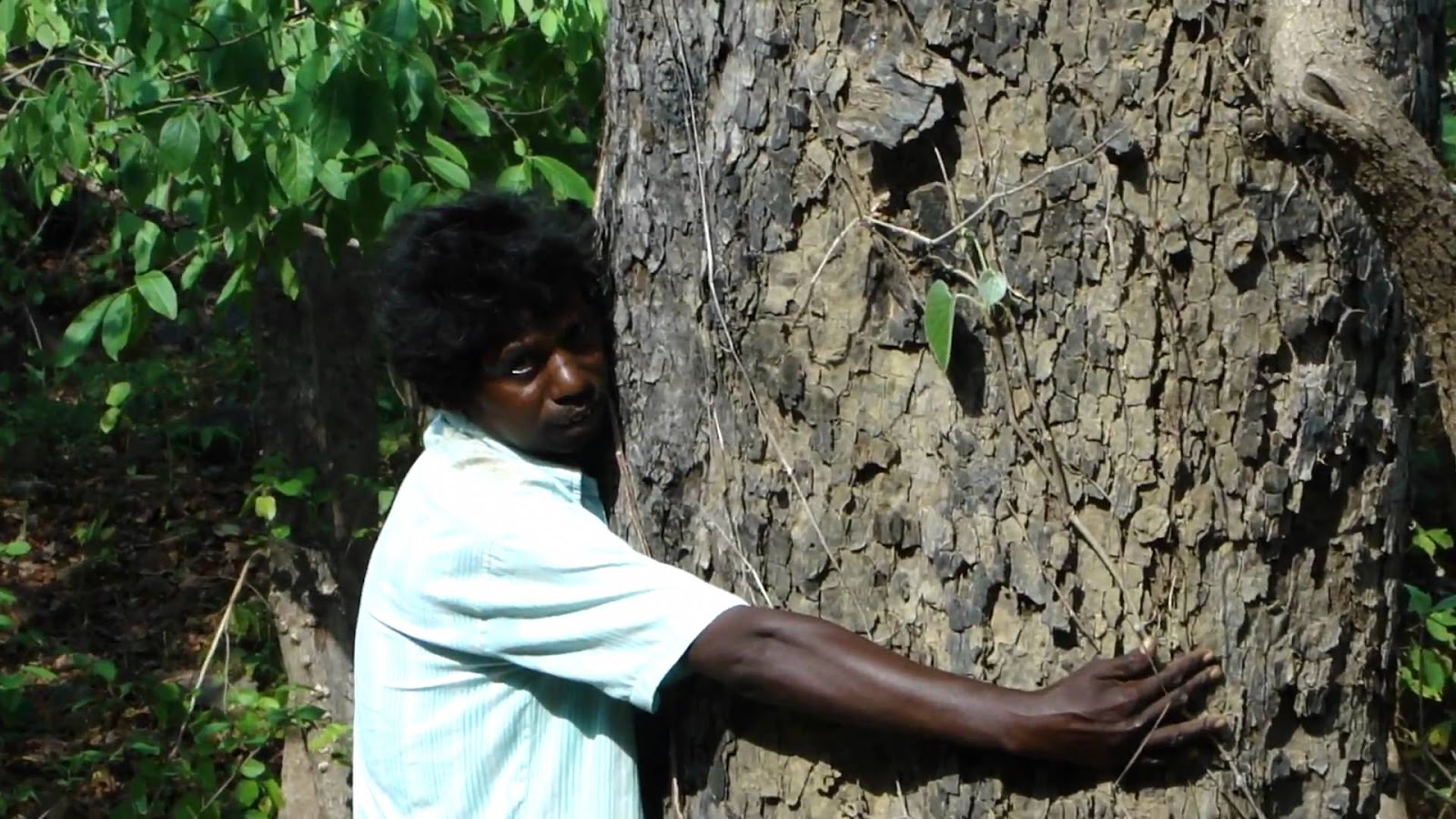 Chipko Movement Pdf Scribd India chipko-movement-pdf-scribd-india