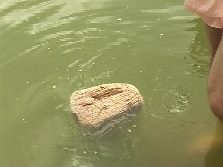Floating stones of Lord Sri Ramachandra : Krishna