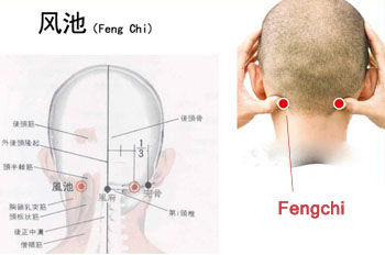 Blog Le Souffle du Menhir: VB20 Feng Chi /Fēng Chí 风池 Etang du vent