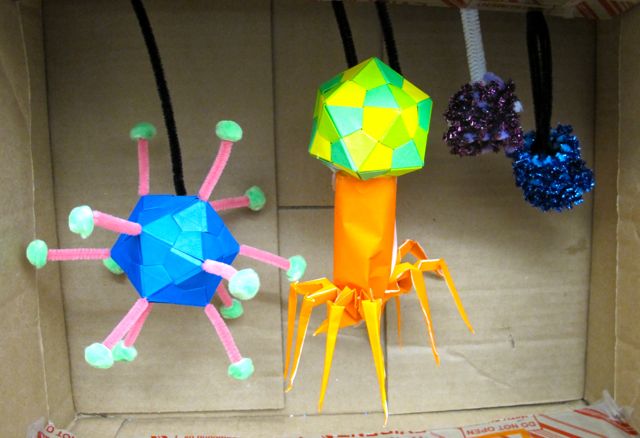 All Creatures Great AND Small: Preaching Microbial Centrism!: Freshmen ...