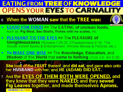 COLUMNA BITES OF WISDOM: The TRUTH About The Forbidden TREE OF ...