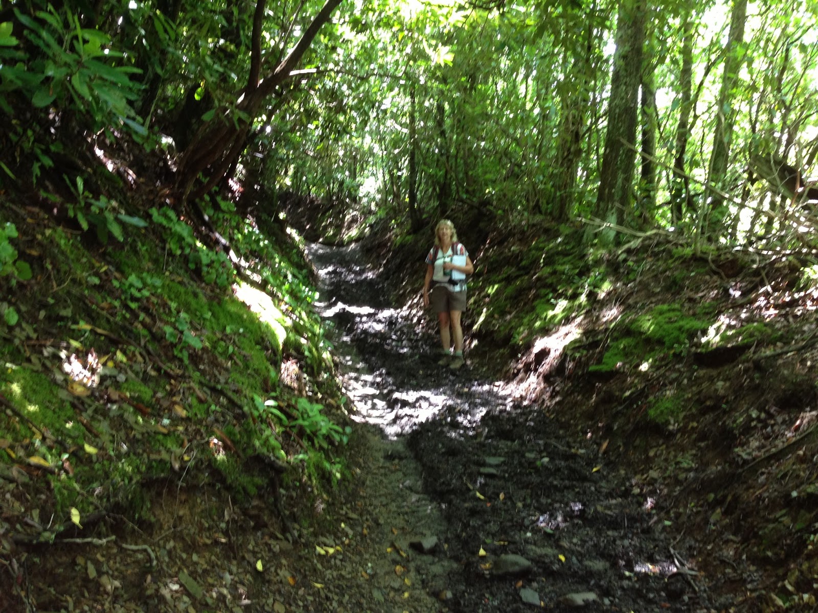 Hiking the Appalachian Balds: Spence Field