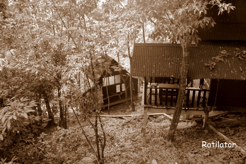 Camp Site @ El Sanctuary, Lendu