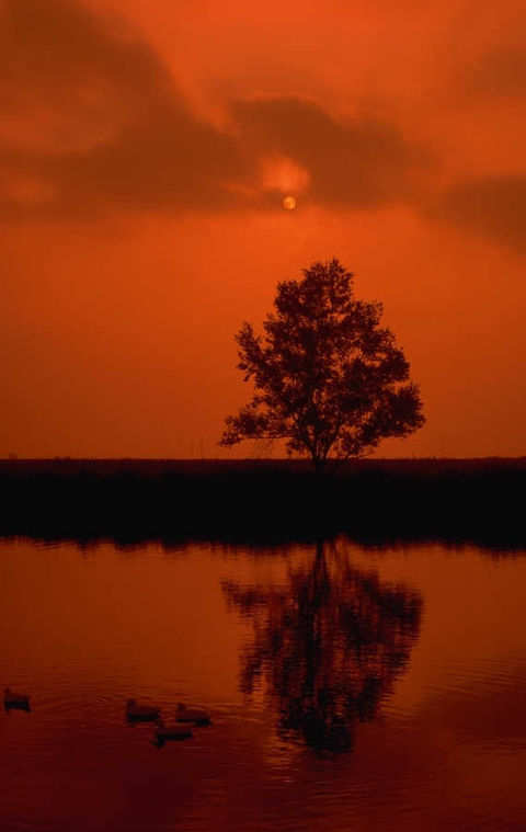 imagenes de amaneceres y atardeceres